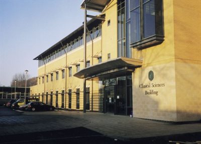 (Not) learning from your mistakes - the career of a clinical academic ...