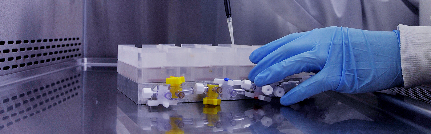 Bioengineering: Biomaterials and Biomechanics MSc - The University of ...