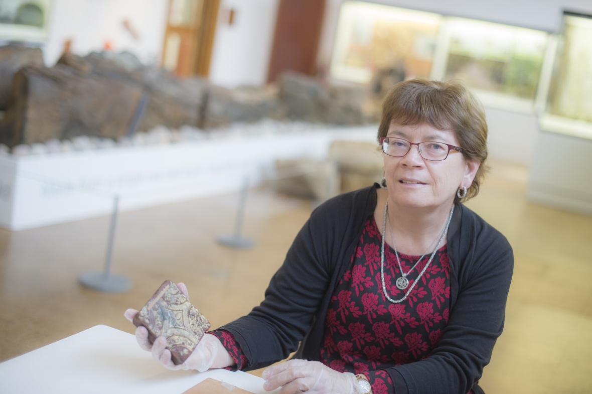 News - British Academy honour for world-leading Viking expert ...