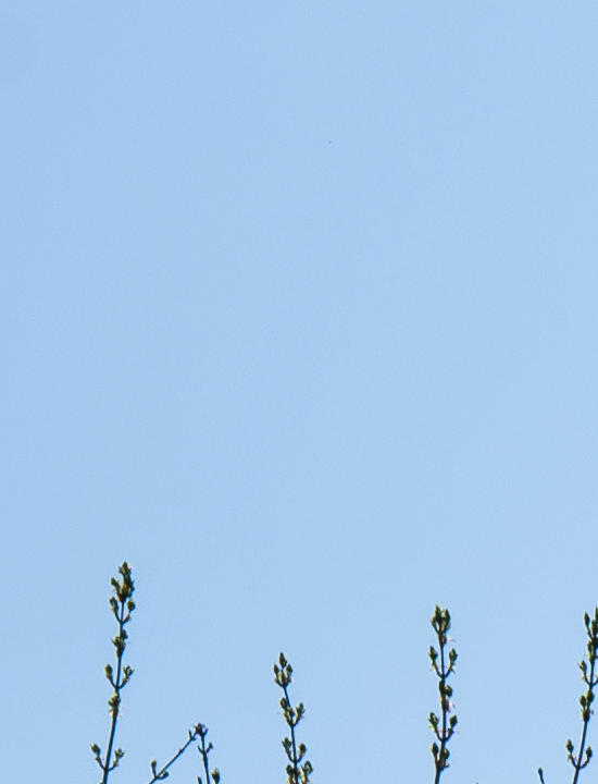 University of Nottingham