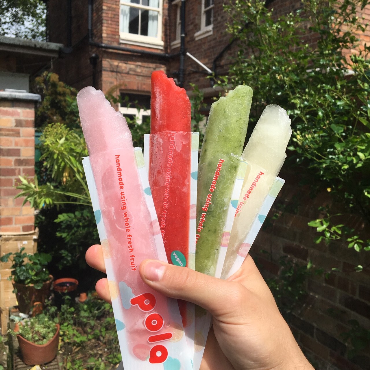 News - Food Innovation Centre experts support cool idea from Pola ice ...