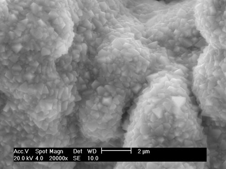 High temperature oxidation in steam - The University of Nottingham