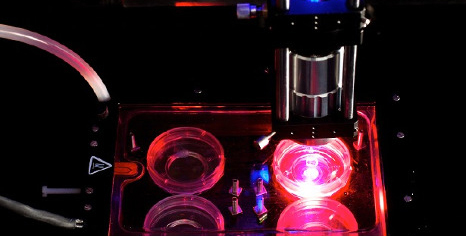 Optics and Photonics Research Group - The University of Nottingham