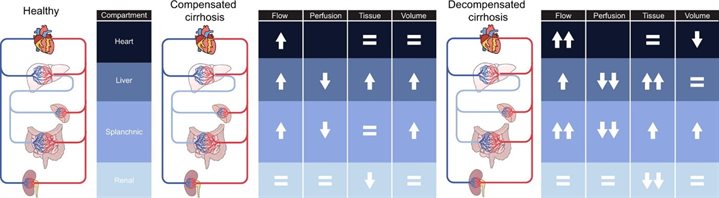 Multi-organ assessment of compensated cirrhosis patients using ...