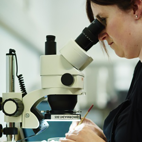 Getting More from your Microscope: Tissue Cytology and Fluid Analysis ...