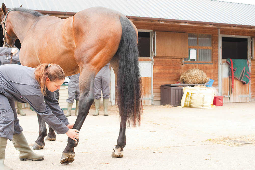 Facilities - The University of Nottingham