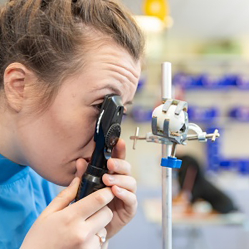 Let There be Light! - Ophthalmology for Beginners - The University of ...