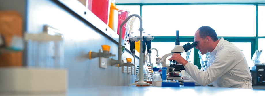 Brewing Science - The University of Nottingham