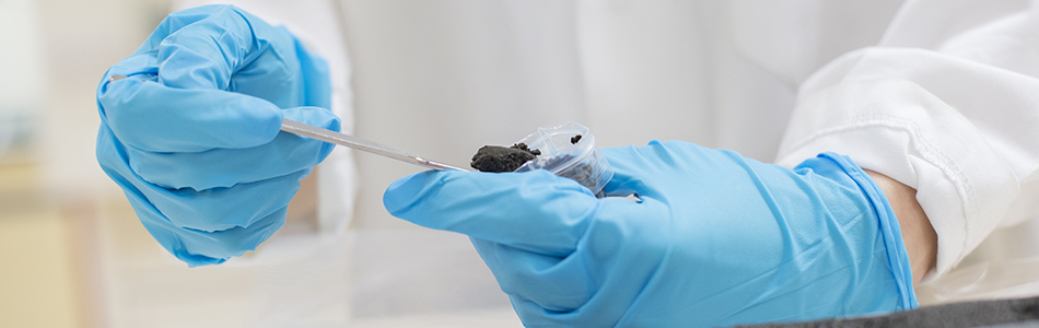 Research opportunities - The University of Nottingham