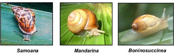 People - The University of Nottingham