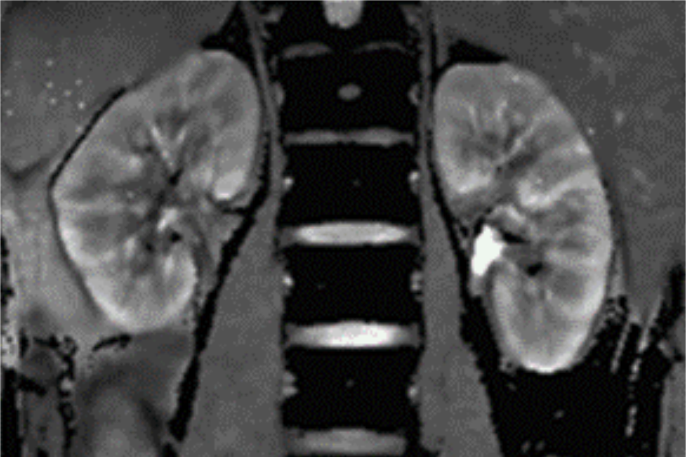 Research - The University of Nottingham