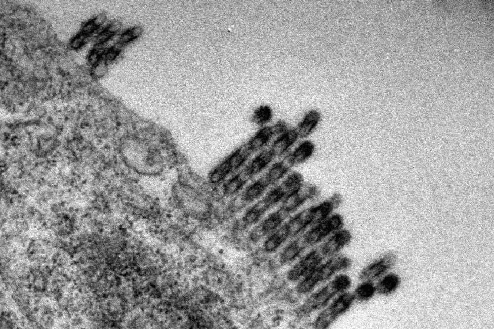 Research - The University of Nottingham